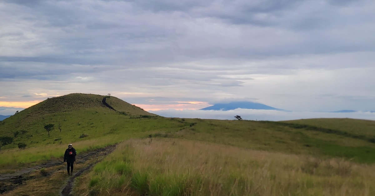 Santa Ana: Hike up San Marcelino Volcano with a local guide. | GetYourGuide