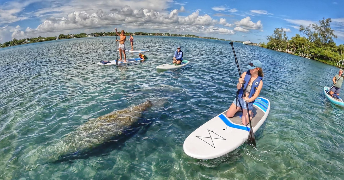 Júpiter: excursión en paddle surf a Fullerton Island | GetYourGuide
