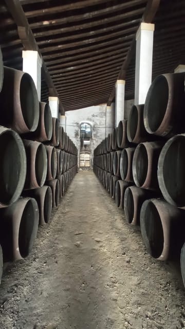Jerez de la Frontera: Sherry Winery Tour with Tasting | GetYourGuide