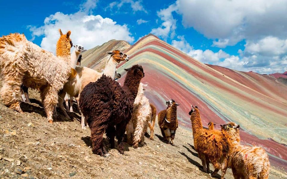 Rainbow Mountain på hästryggen: Episk resa /Privat service | GetYourGuide