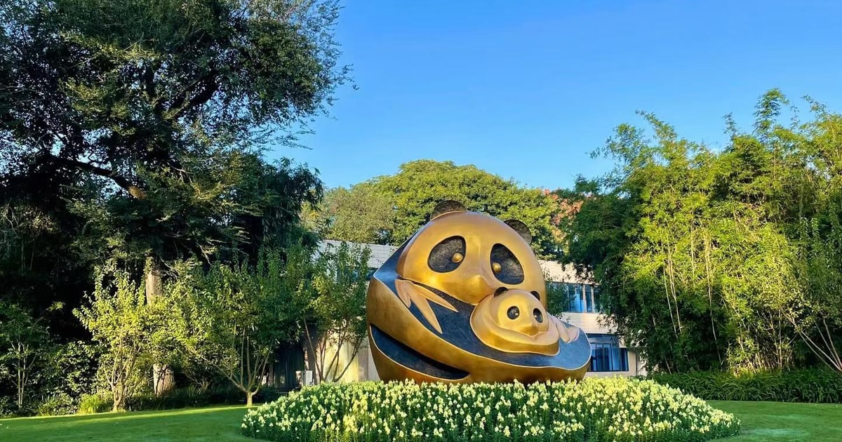 Chengdu: Panda Research Base Ticket or Private Transfer Tour | GetYourGuide