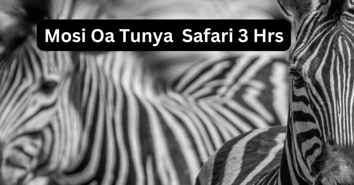 Victoria Falls: 4x4 Mosi Oa Tunya Safari | GetYourGuide