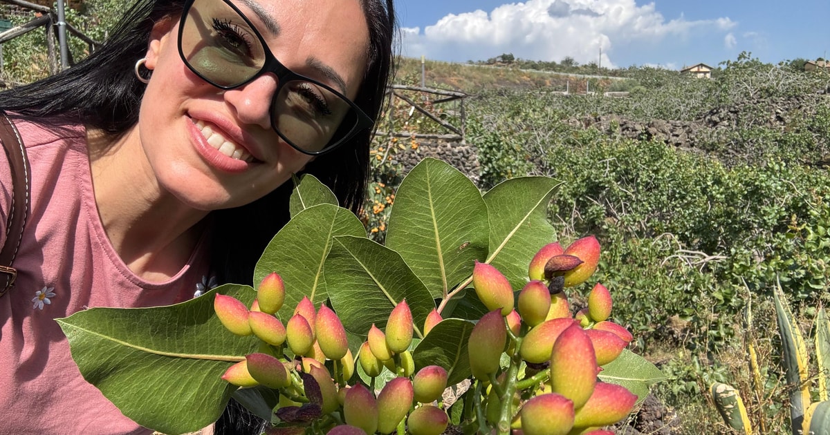 Sicily: Bronte Pistachio Farm Tour with Lunch | GetYourGuide