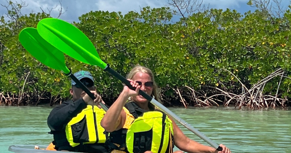Providenciales: Mangroves and Turtles Clear Kayak Eco Tour | GetYourGuide
