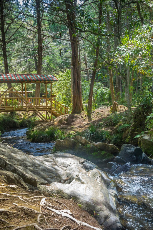 Medellín: Botanical Garden and Arvi Park City Tour | GetYourGuide