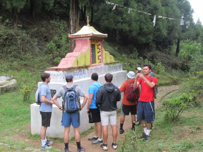 Darjeeling Tonglu Day Hike | GetYourGuide