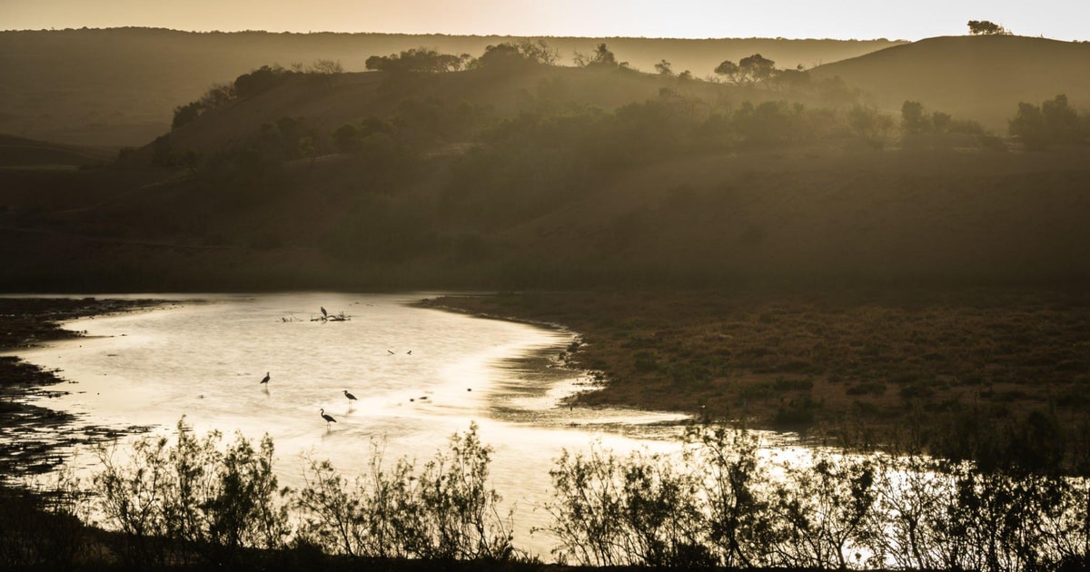 From Agadir: Sous Massa National Park Desert Safari w/Lunch | GetYourGuide