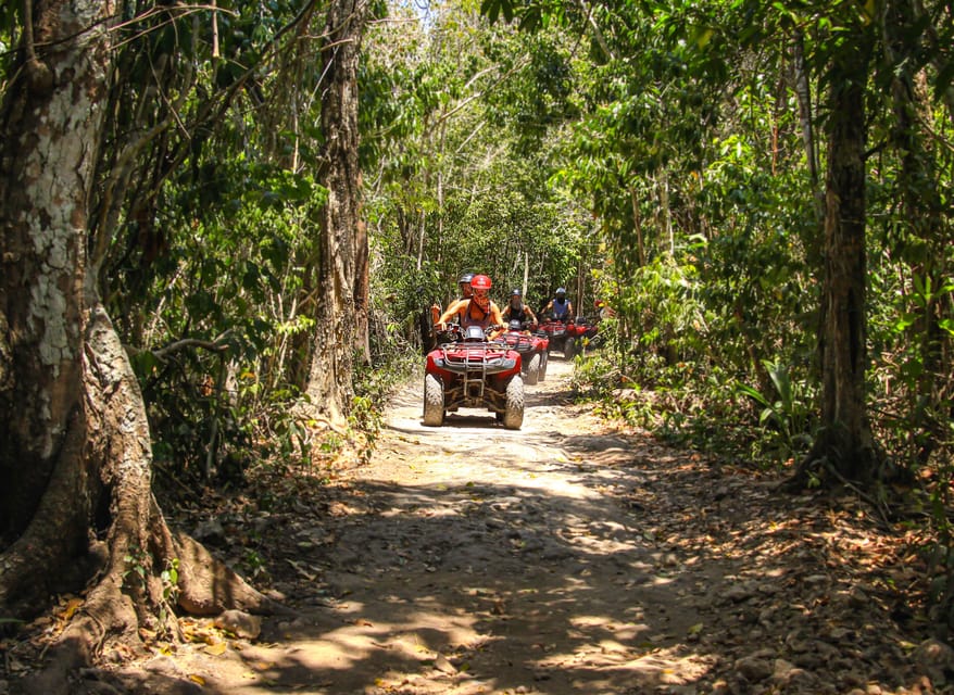 Jungle atv tour at Cozumel | GetYourGuide