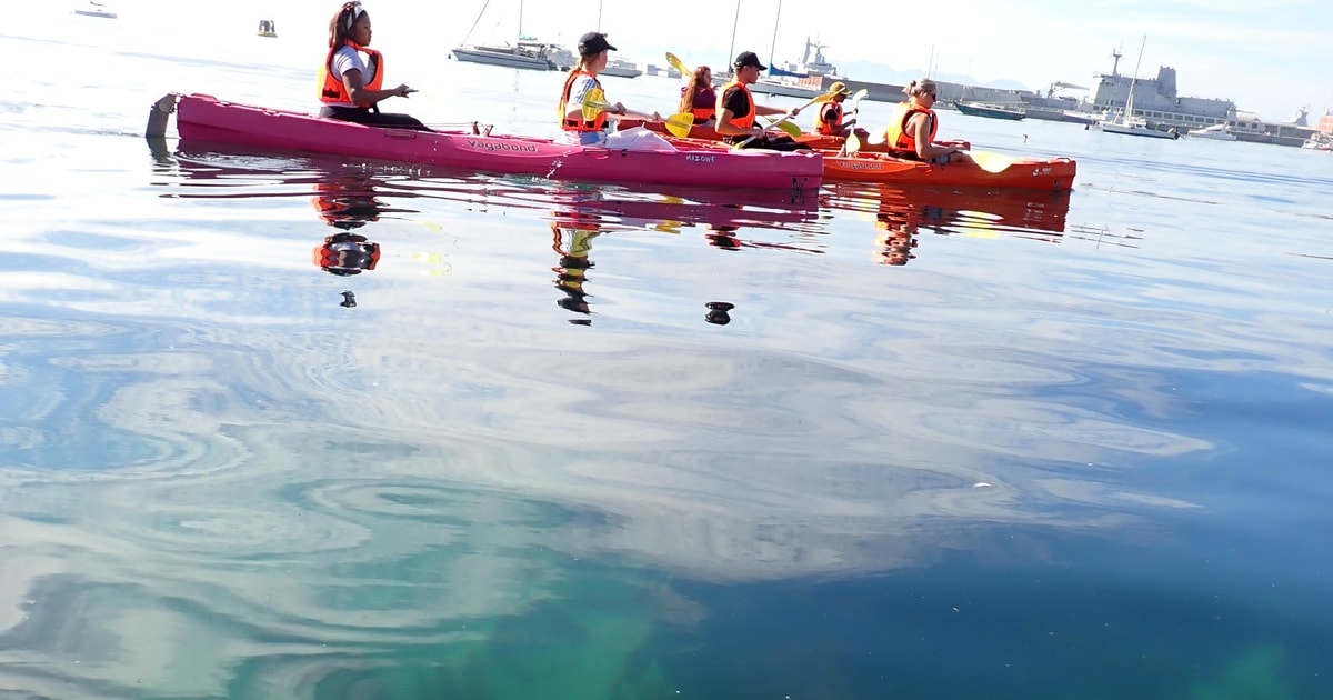 Cape Town: Guided Simon's Town Kayak Adventure | GetYourGuide
