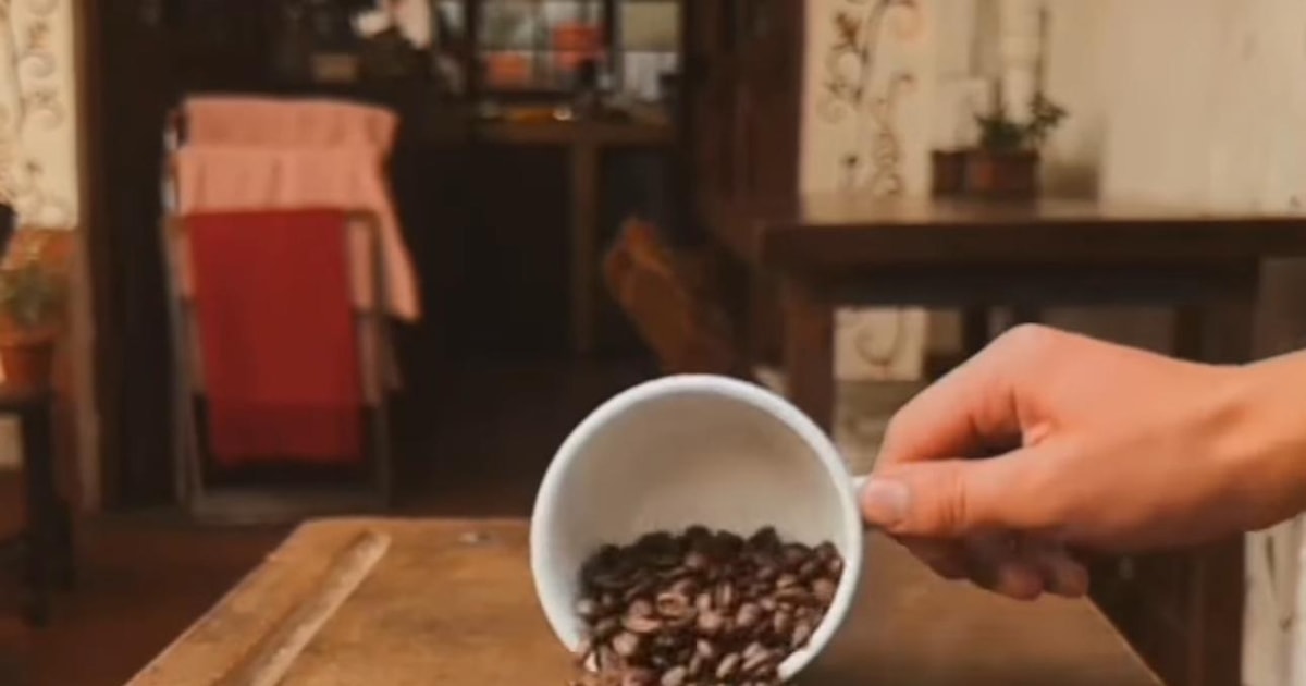 Nairobi: Coffee Farm Tour with Tasting and Transfers | GetYourGuide