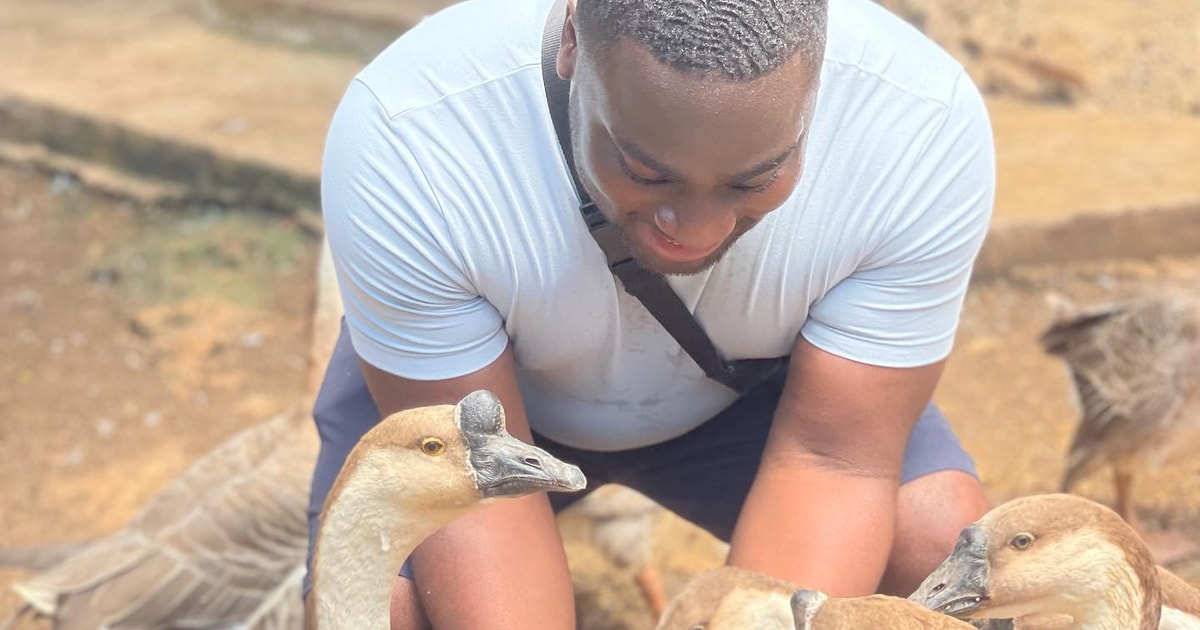 D Boss Farm, Bamboo Rafting and Limestone Foot Massage Tour | GetYourGuide