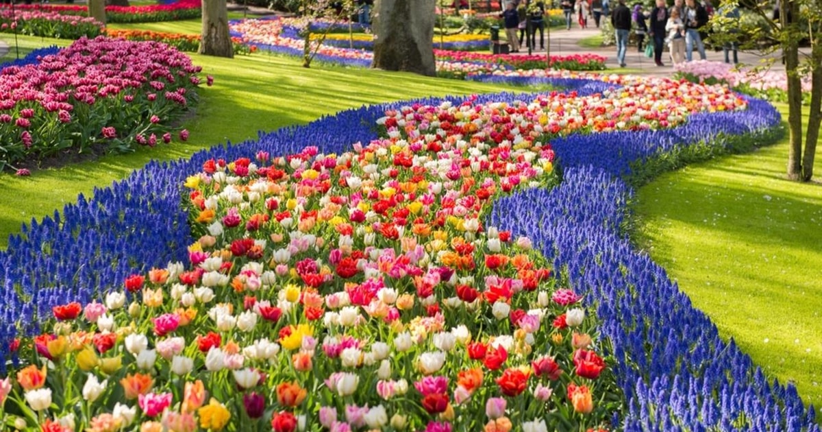 Warmond: Windmill Cruise and Keukenhof Entry Ticket | GetYourGuide