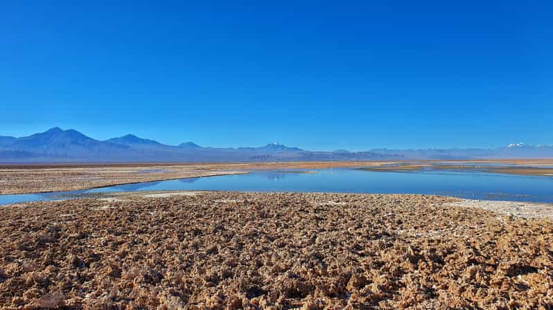 Atacama Desert: Red Rocks and Altiplanic Lagoons Tour | GetYourGuide
