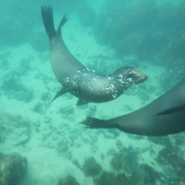 Galapagos Land tour 3 Islands (5 Days) | GetYourGuide