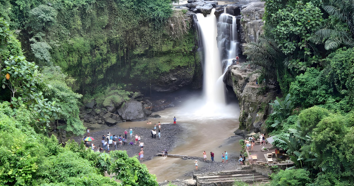 Denpasar Şehir ve Ubud Şelale Turu | GetYourGuide