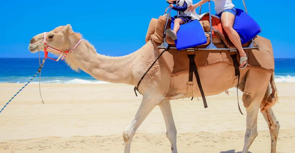 Explore Tangier: Cap Spartel, Cave, & Camel Ride Adventure | GetYourGuide