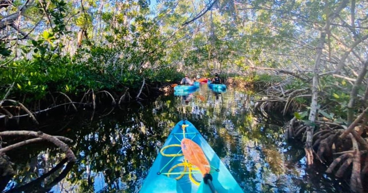Key West: 2-hour Mangrove Kayak Tour | GetYourGuide