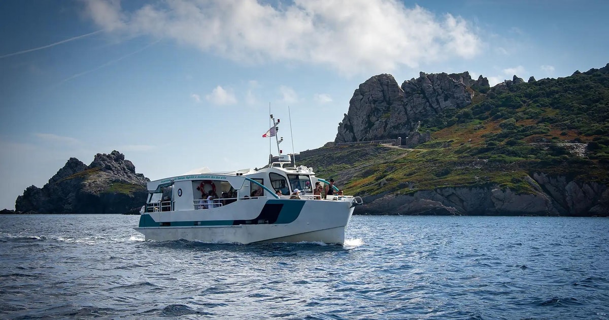 Hybride boot naar het eiland Porquerolles vanuit Bormes-les-Mimosas ...