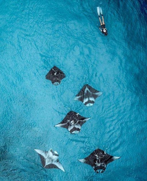Nusa Penida: Hele dag privé snorkelen met Mantarog | GetYourGuide