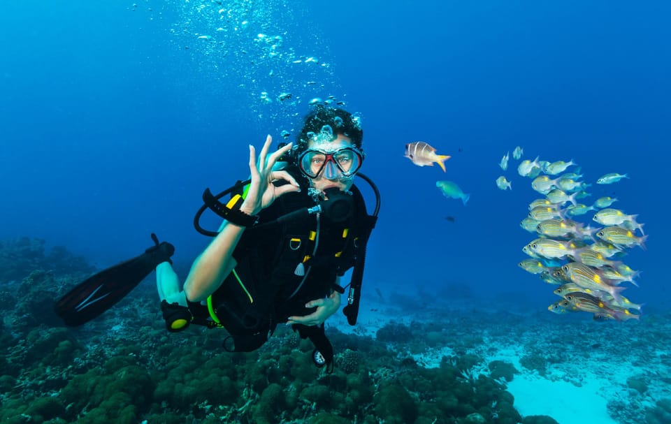 Hurghada: Excursión de buceo y snorkel con traslados | GetYourGuide