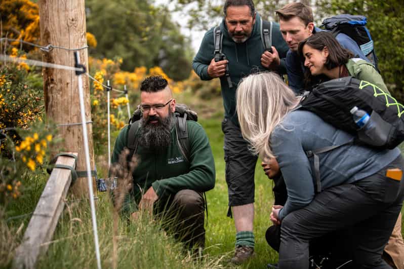 Inverness: Rewilding the Scottish Highlands Full-Day Trip | GetYourGuide