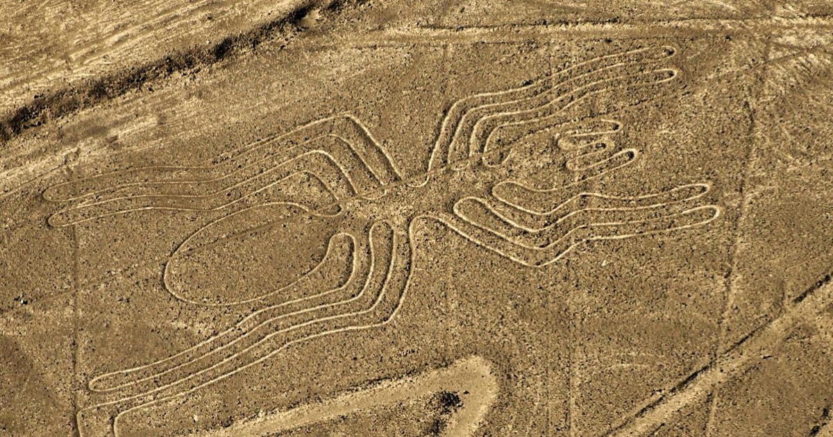 Från Nazca: Flygning med litet plan över Nazca-linjerna | GetYourGuide