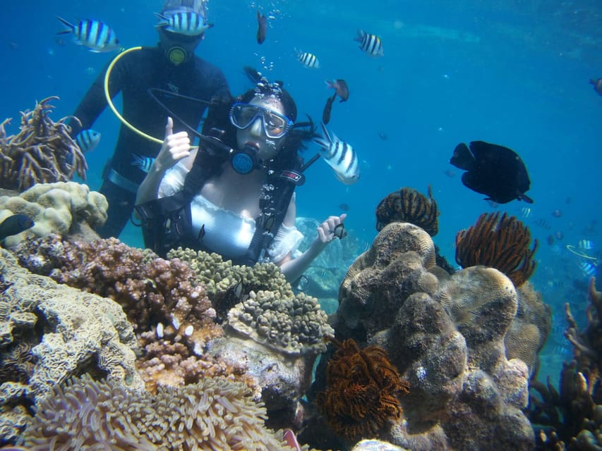 Rode Rivier Tour - Duiken bij Roi Island Phu Quoc | GetYourGuide