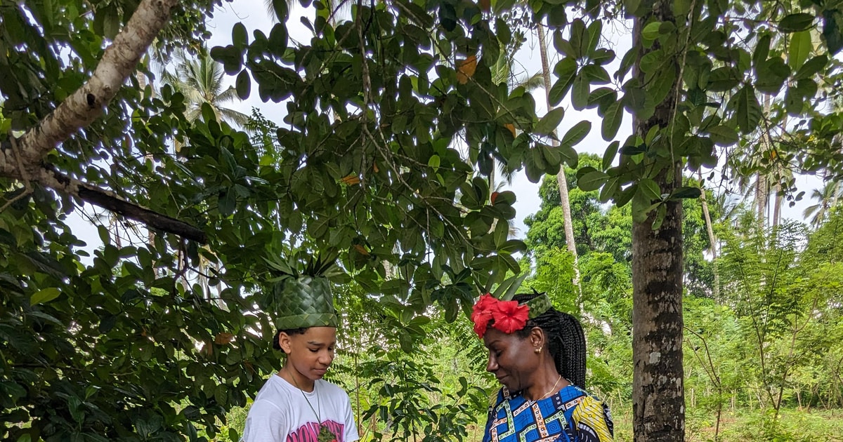 Zanzibar: Afrikas paradis Full Sightseeing Paketresor | GetYourGuide