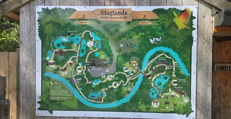 Upper Hutt Staglands Wildlife Reserve | GetYourGuide
