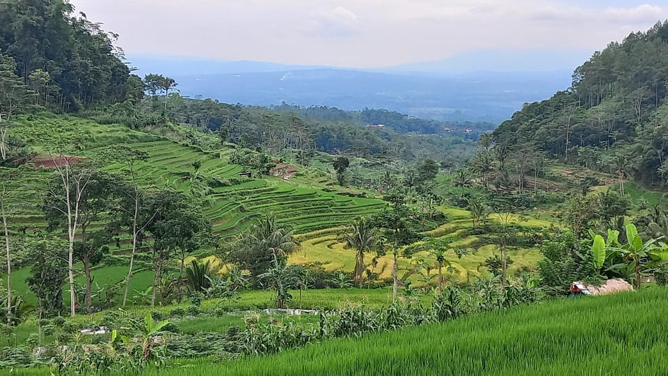Yogyakarta :selogriyo tempel, rijstveld trekking& nepalvan java ...