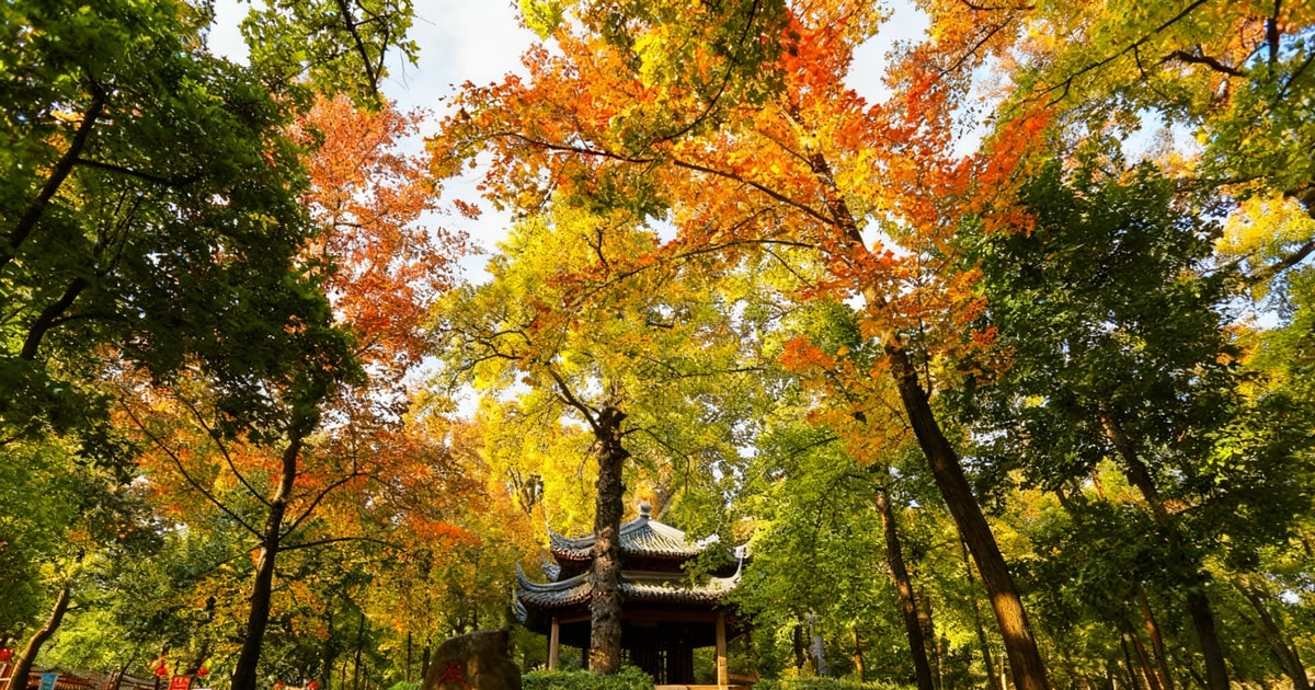 Autumn Hike: Explore Suzhou's Maple Trails from Shanghai | GetYourGuide