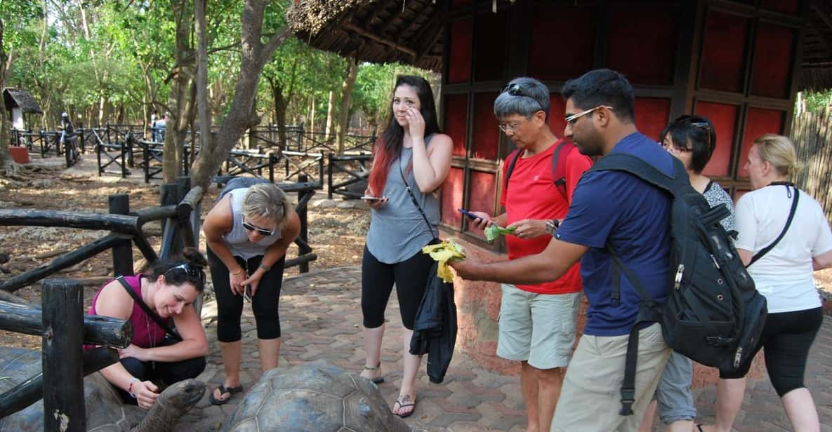 Prison Island Tour | GetYourGuide
