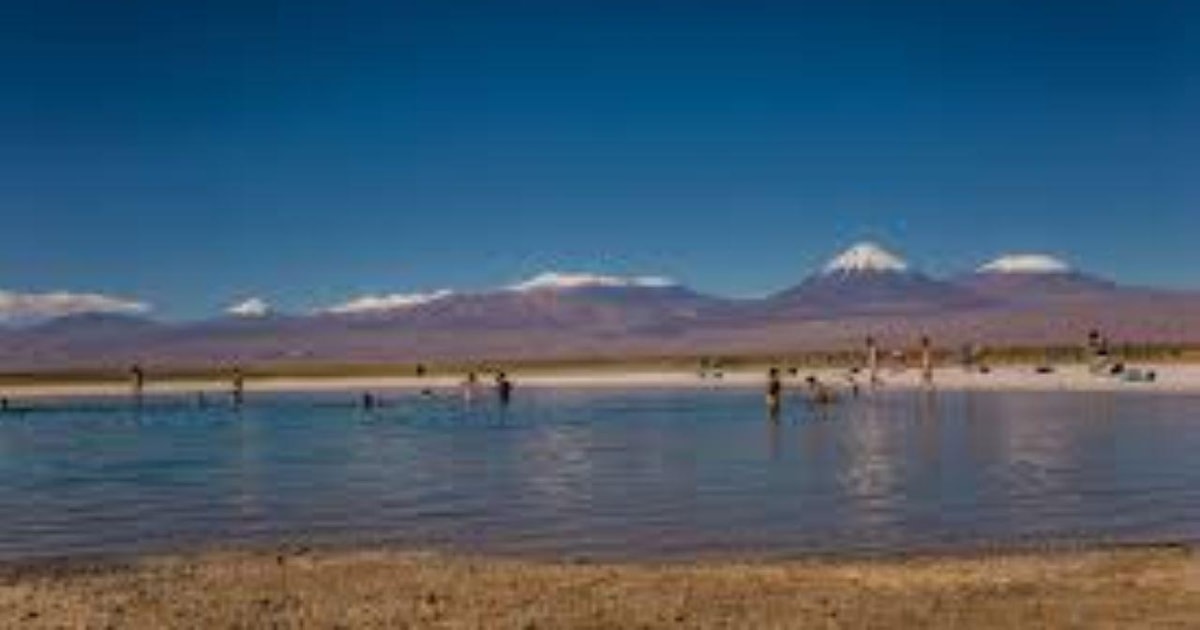 CEJAR LAGOON, OJOS DEL SALAR AND TEBINQUINCHE LAGOON | GetYourGuide