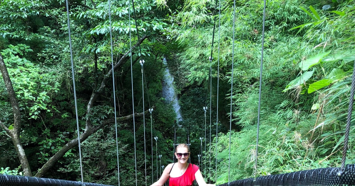 Liberia: Excursión al Parque Nacional Rincón de la Vieja | GetYourGuide
