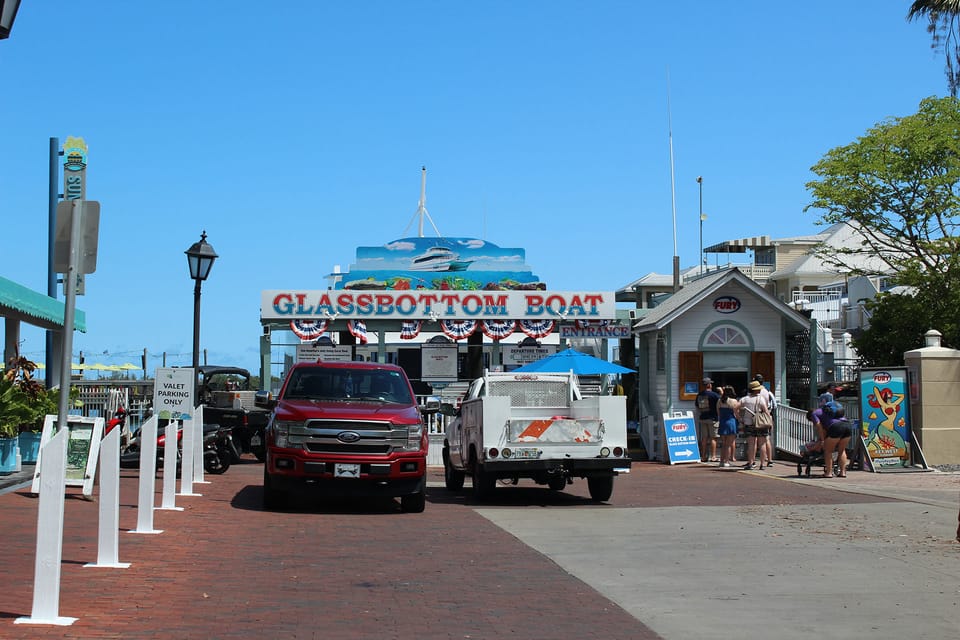 Miami to Key West Shuttle: Dolphin, Snorkeling & More | GetYourGuide