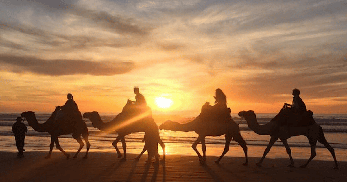 Agadir: Sunset Camel Ride with BBQ and Couscous | GetYourGuide