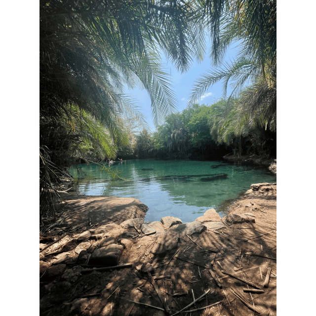 Kikuletwa Hotspring Tour | GetYourGuide