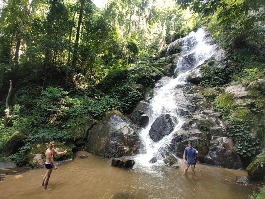 Chiang Rai: Jungle Avontuur-Groep trektocht & Bamboe koken | GetYourGuide