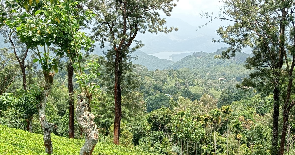 Rangala: Hiking, Camping, and Waterfall Adventure | GetYourGuide