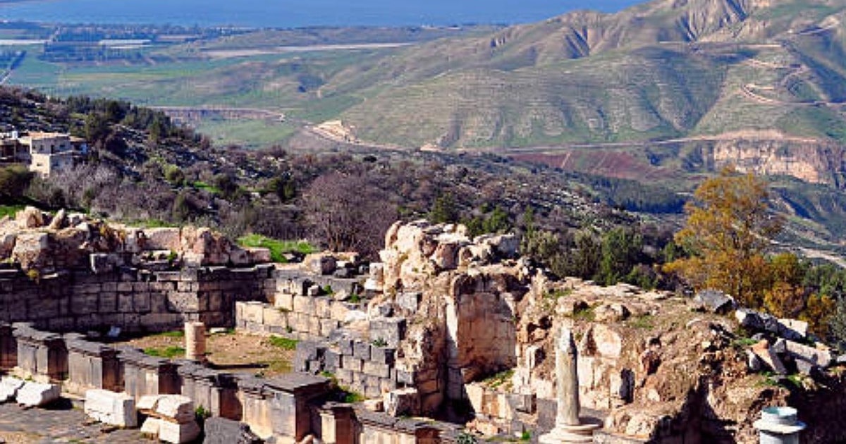 From Amman: To Umm Qais & Ajloun Castle &Jerash One Day Tour | GetYourGuide
