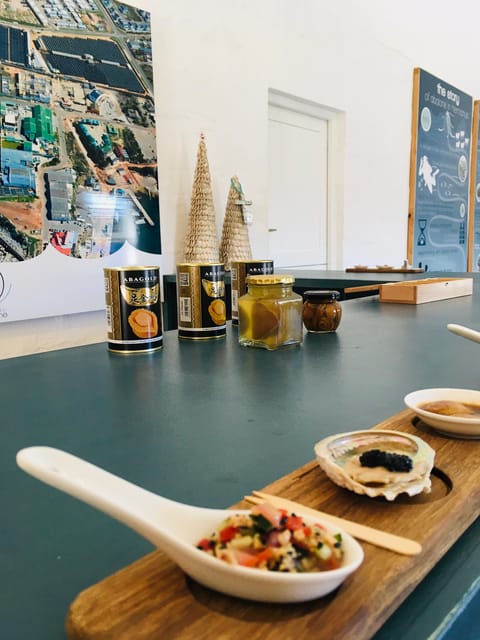 Hermanus guided abalone farm tour & tasting | GetYourGuide