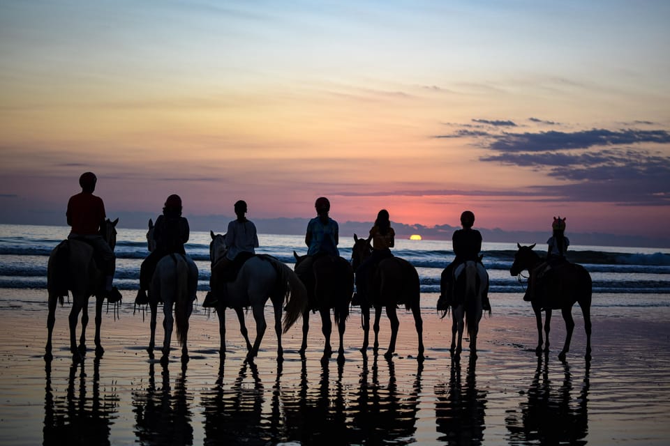 Paseos a caballo por la playa | GetYourGuide
