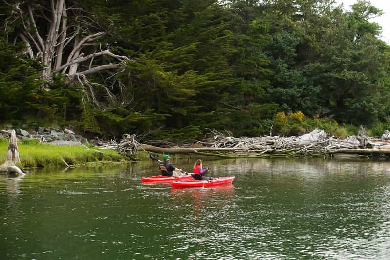 Brookings: Chetco River Kayak Tour | GetYourGuide
