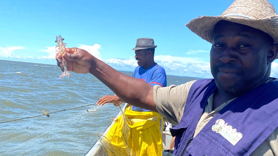 4-Day Pacific Tour: Explore Guapi's Hidden Treasures. | GetYourGuide