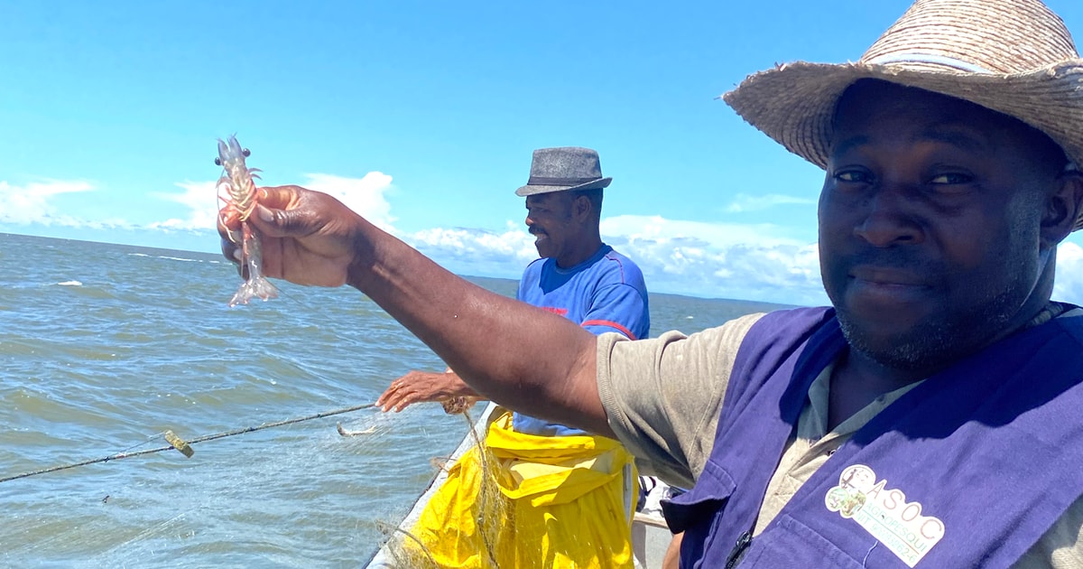 4-Day Pacific Tour: Explore Guapi's Hidden Treasures. | GetYourGuide