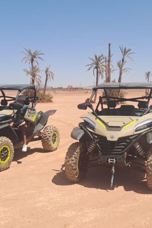 Marrakech: Tour Buggy In Palm Oasis and Jbilat Desert | GetYourGuide