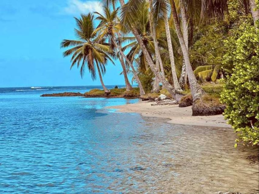 Disfruta de playas paradisíacas situadas en colón | GetYourGuide