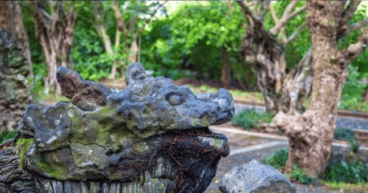 Haikou: Volcanic Crater Park and Yongqing Temple Tour | GetYourGuide