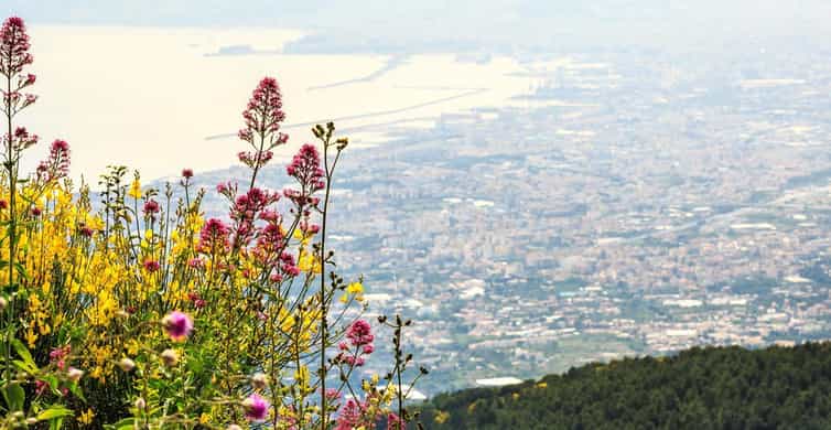 From Naples_Pompeii&Vesuvius | GetYourGuide