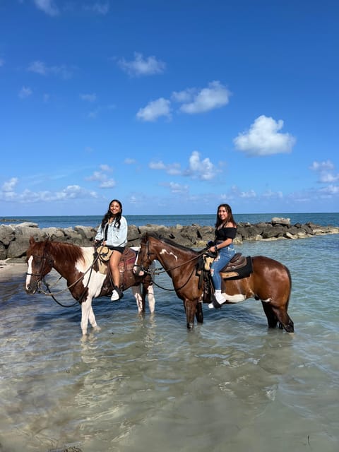 Miami: Beach Horse Ride & Nature Trail | GetYourGuide